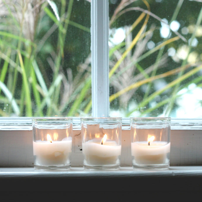 Unscented BIOLIGHT Jars - Set of 12 – Yummi Candles Canada